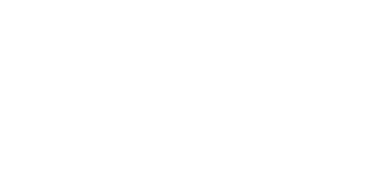 An Application of Multivariate Random Fields and Systems of Stochastic ...